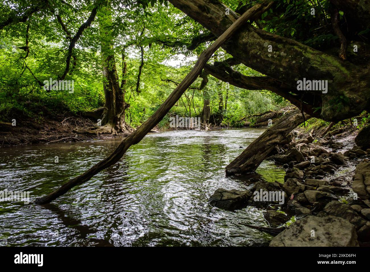 The river l'eau blanche runs trough the village of Lompret and owes its ...