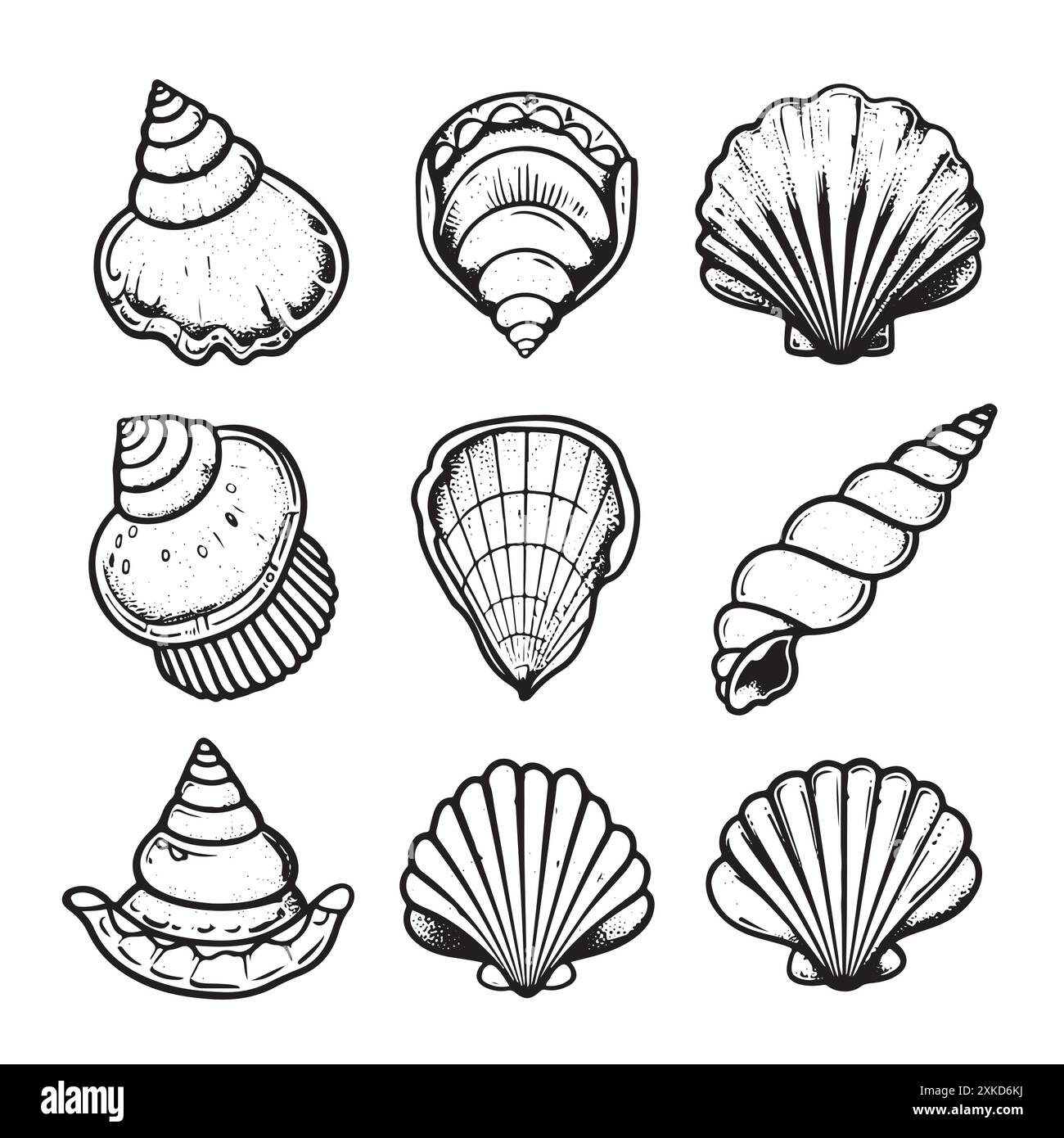 seashell outline illustration. Seashells vector set. Hand drawn ...