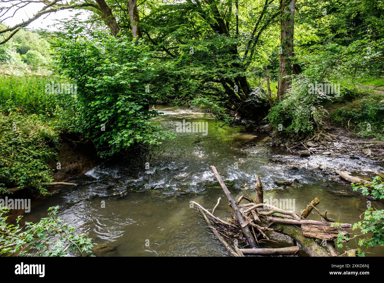 The river l'eau blanche runs trough the village of Lompret and owes its ...