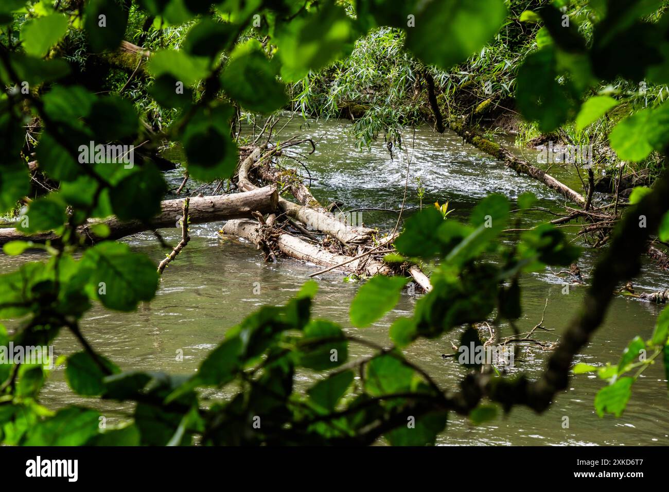 The river l'eau blanche runs trough the village of Lompret and owes its ...