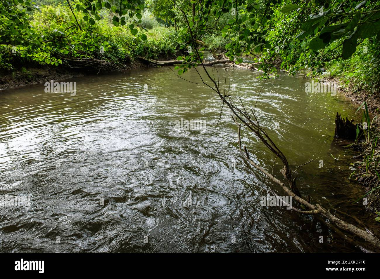 The river l'eau blanche runs trough the village of Lompret and owes its ...