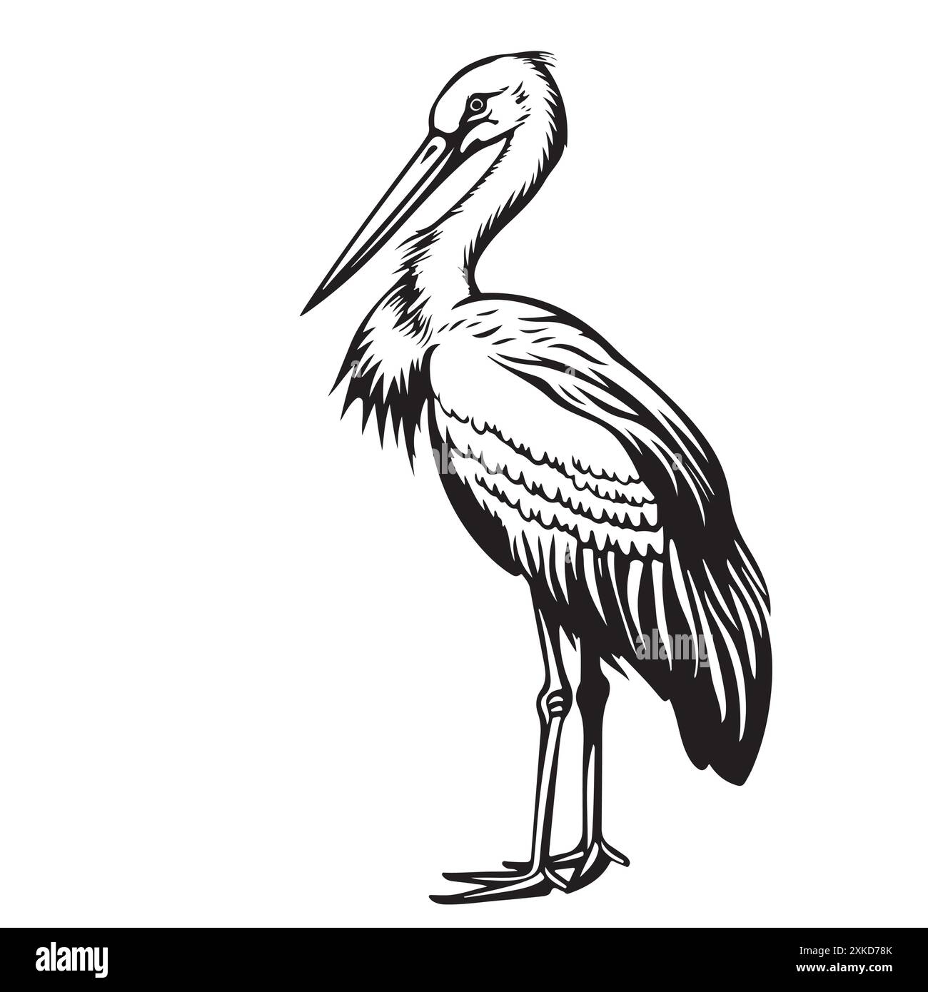 Stork sketch vector illustration. Hand sketching a stork for a design ...