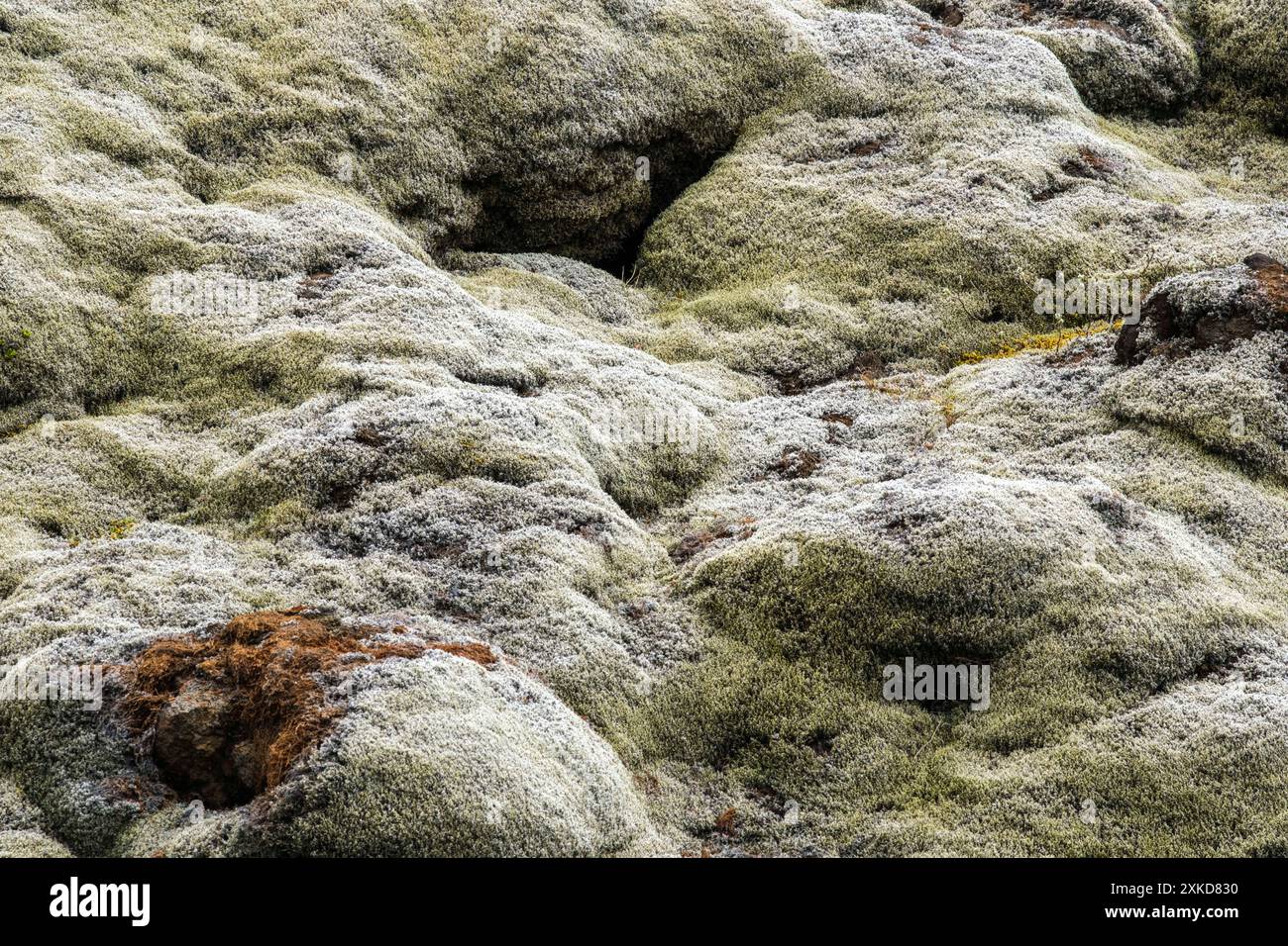 Tapis de pierre hi-res stock photography and images - Alamy