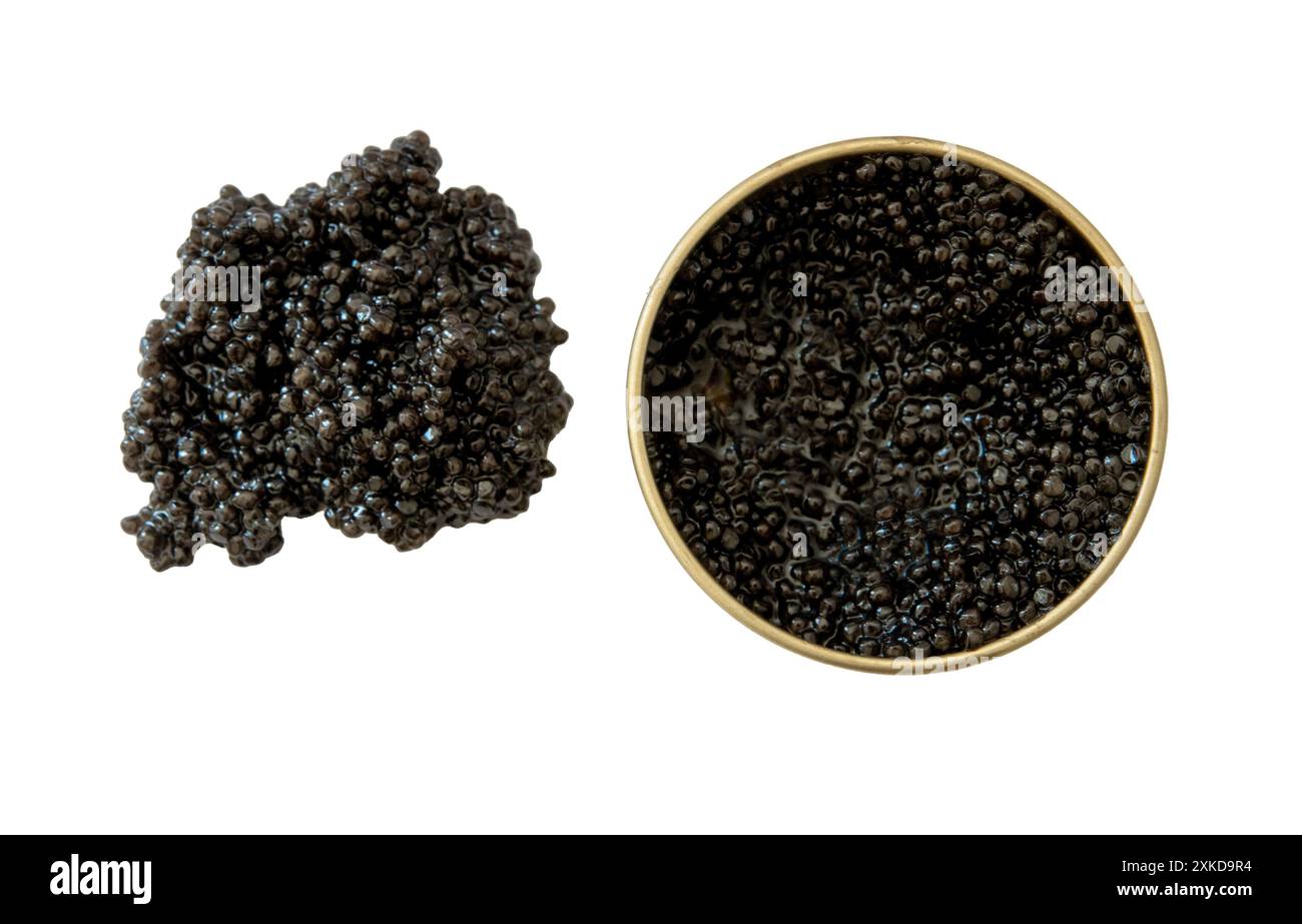 Black caviar in and outside an open tin can on white background. Top ...