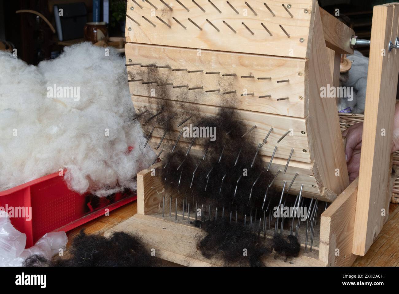 Sheep breeds hi-res stock photography and images - Alamy