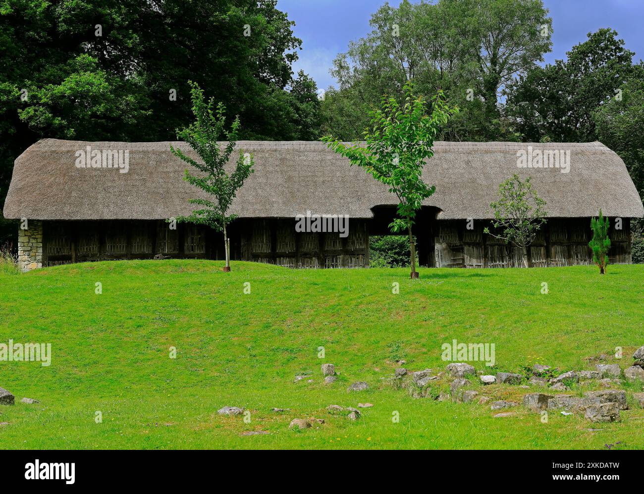 Stryd Lydan cruck and timber-framed barn, c 1550. St Fagans National ...