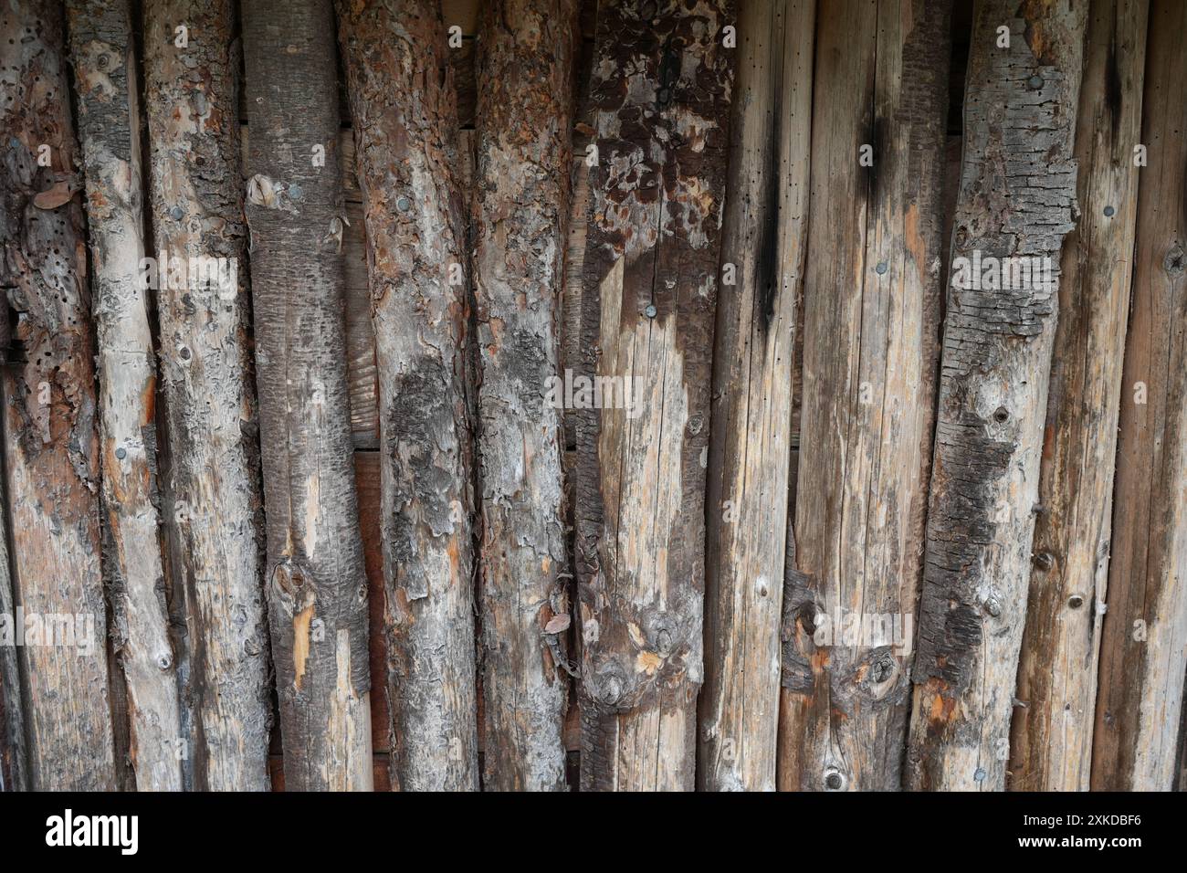 Detail of traditional English bark wall construction Stock Photo - Alamy