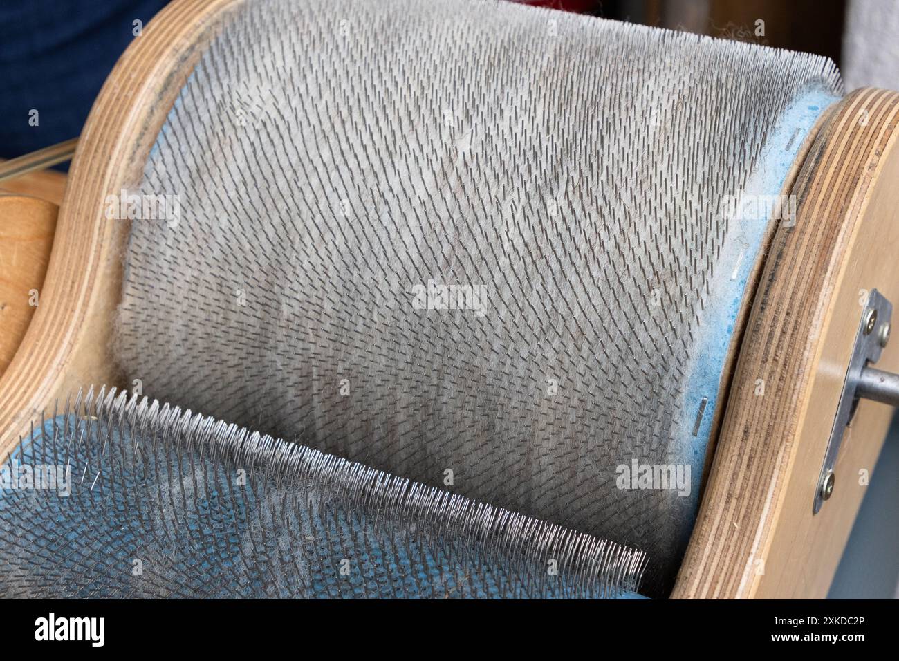 Coloured, dyed raw wool is applied side by side on a carding drum Stock ...