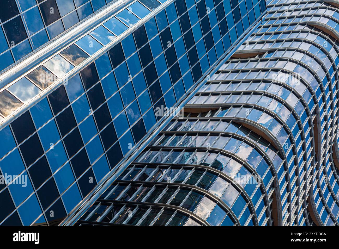 Contrasting visual hi-res stock photography and images - Alamy