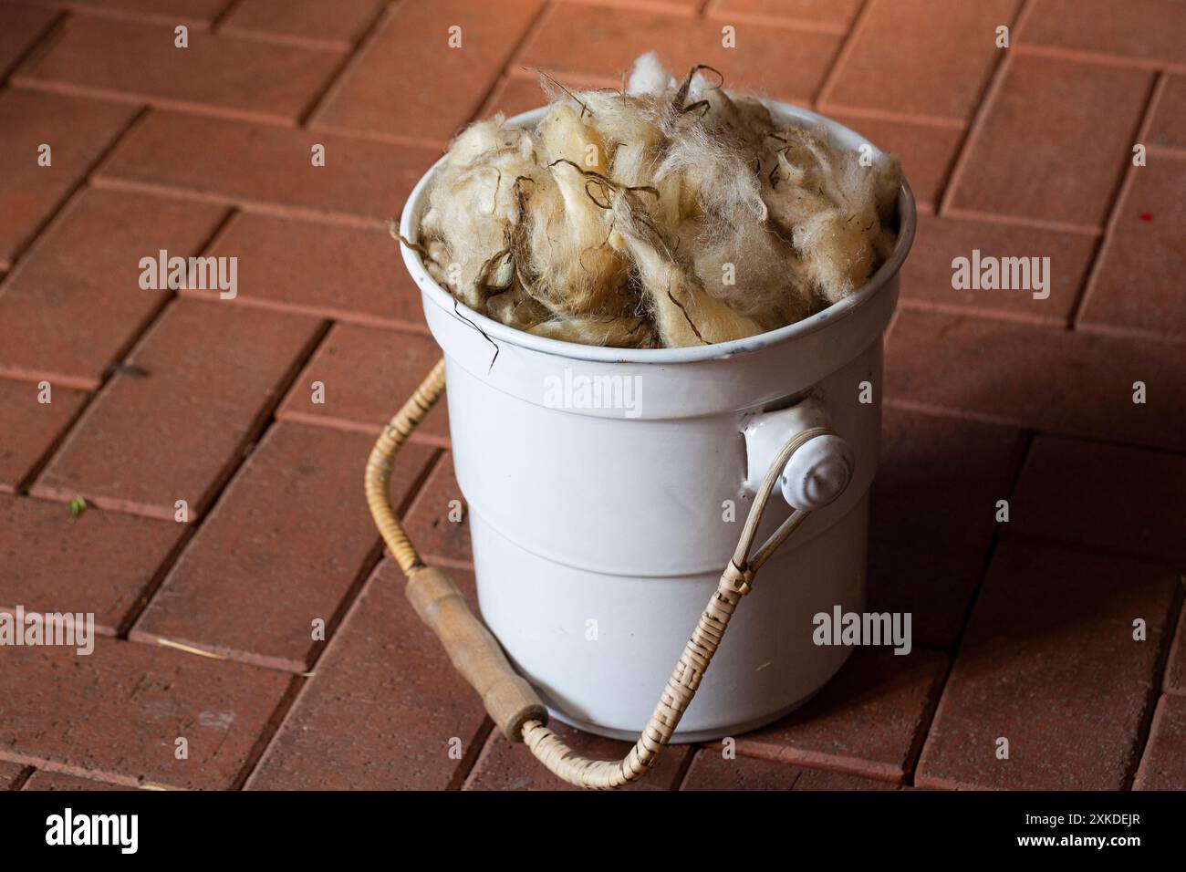 Unwashed raw wool from a sheep fills a white metal bucket on a brown ...