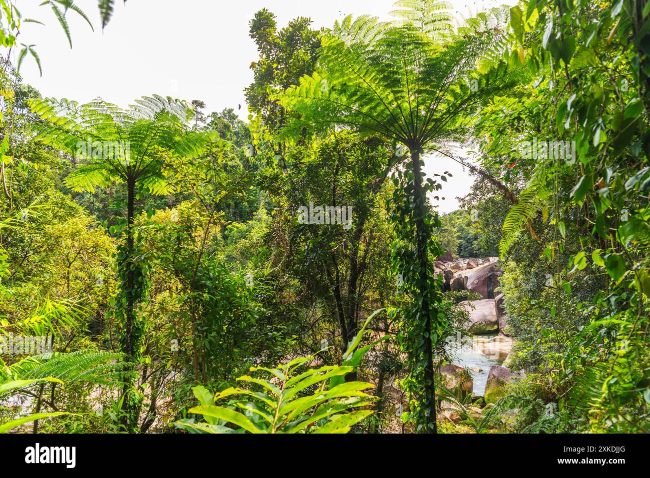 Picturesque Babinda Boulders and creek, Queensland, Australia. Babinda ...
