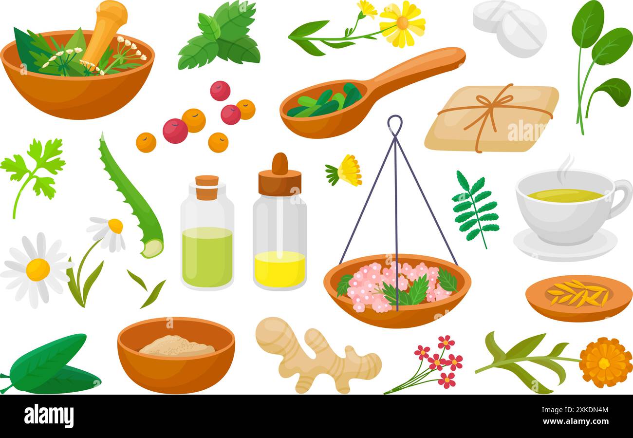 Naturopathy medicinal plants Stock Vector Images - Alamy