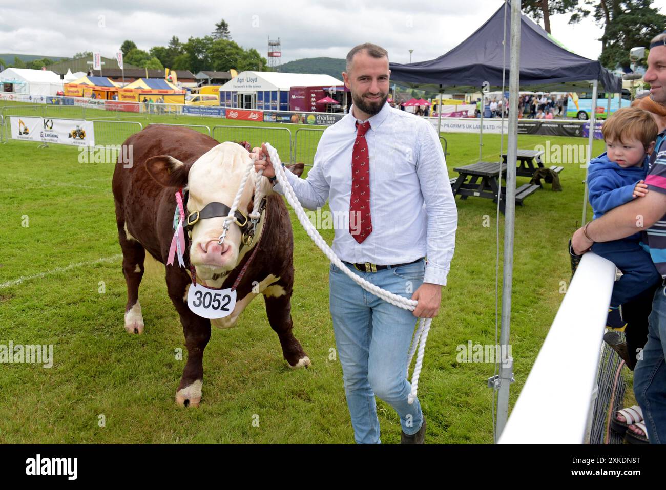 Builth Wells, Wales, UK, 22nd July 2024. A man leads his prize winning ...