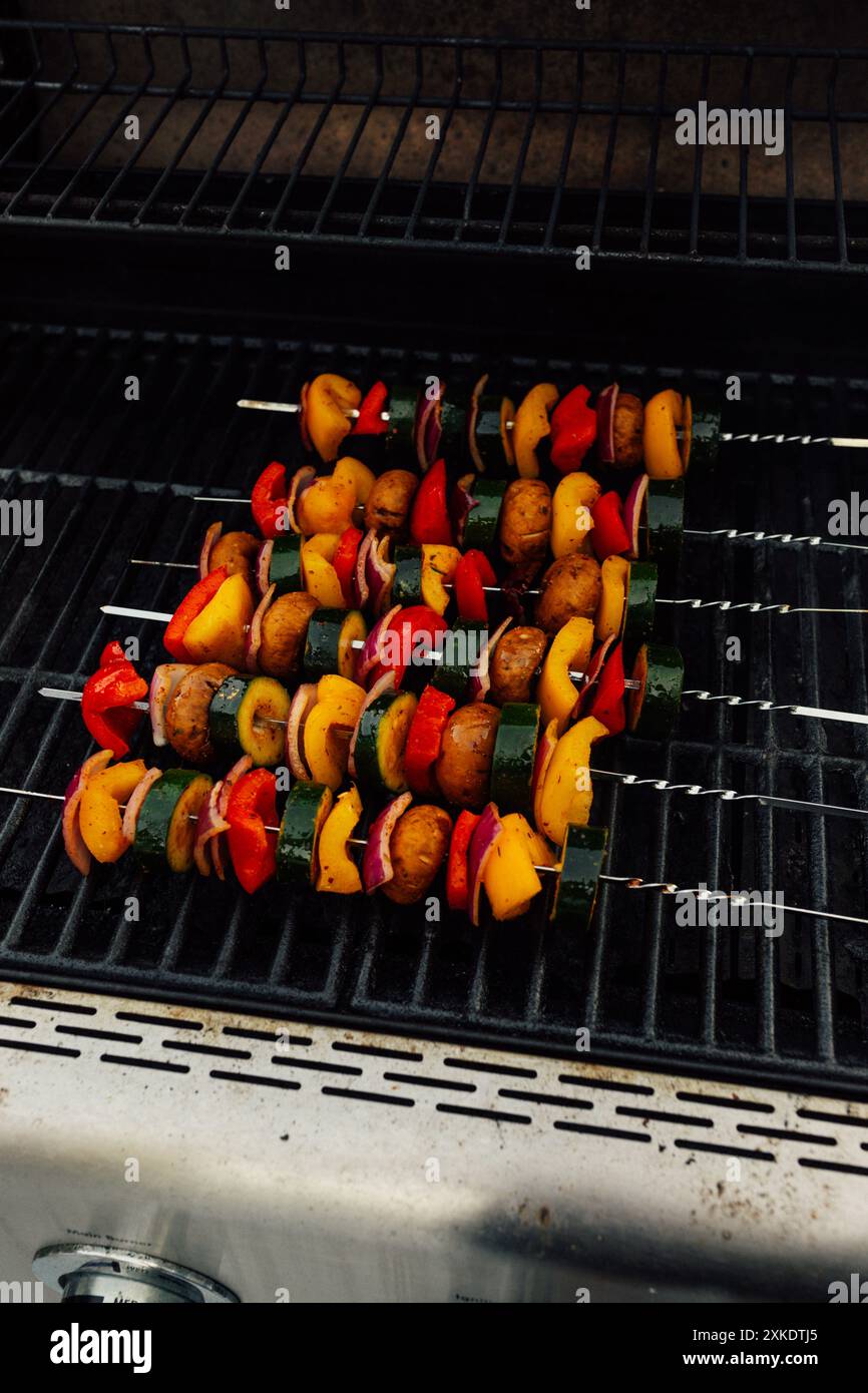six colorful skewers of vegetable kabobs on barbecue grill Stock Photo - Alamy