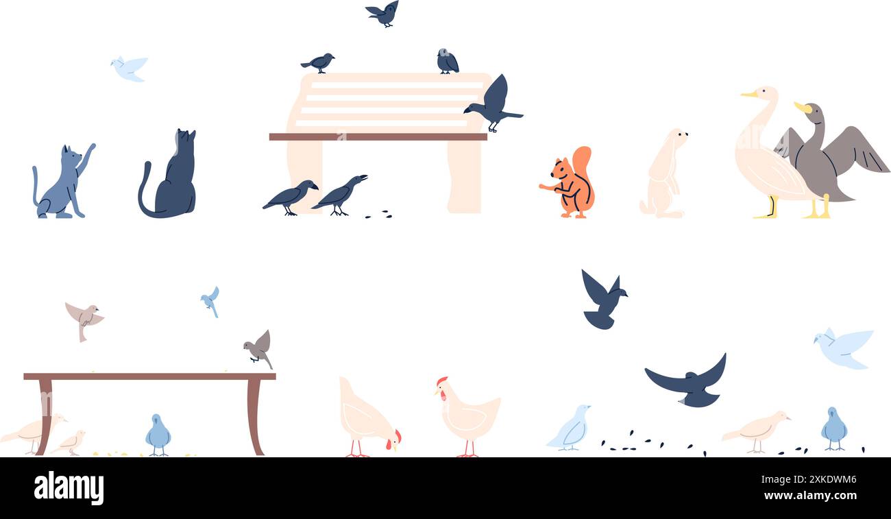 Animals and birds feeding. Cats pigeons squirrel goose chicken and ...