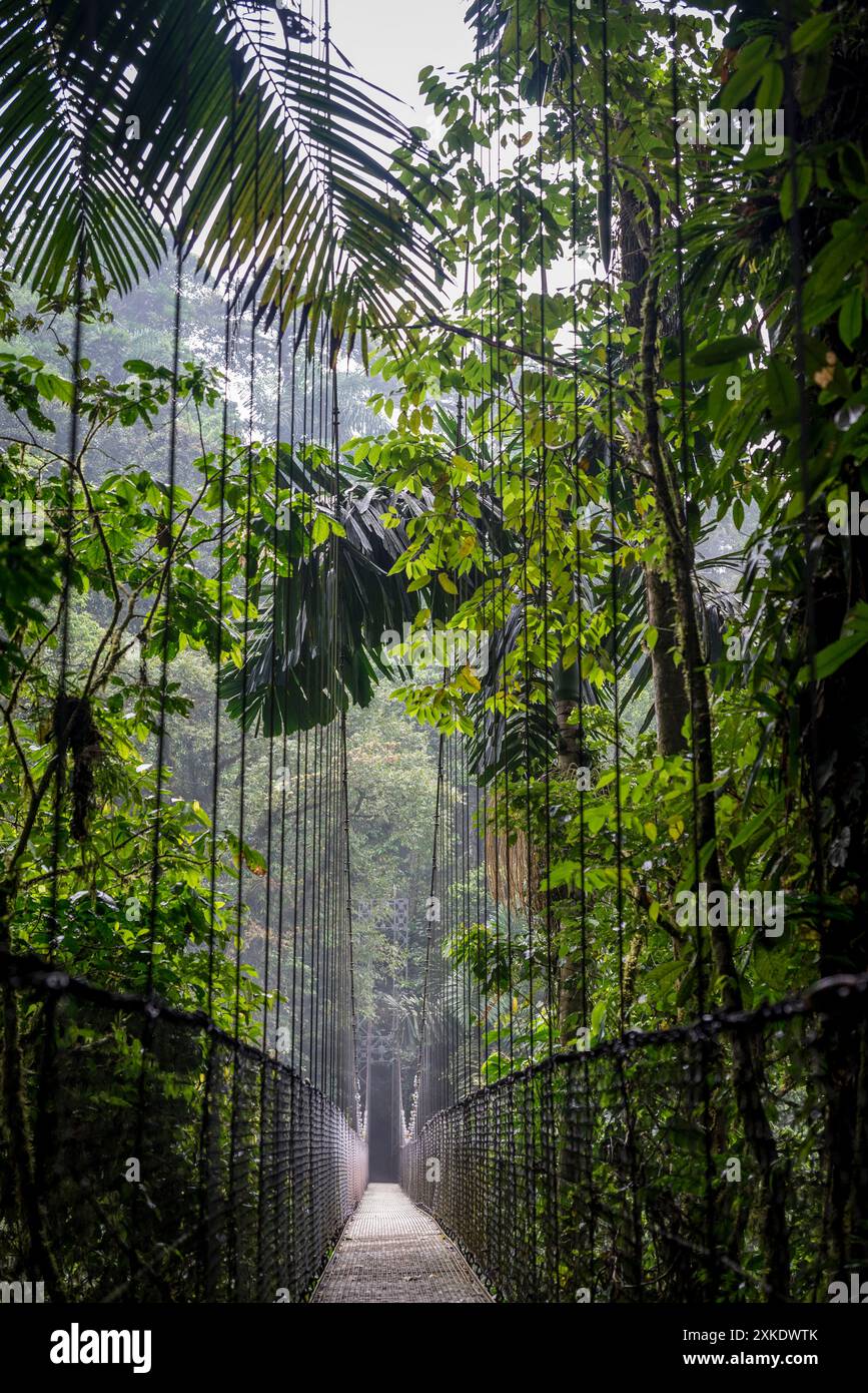 Hanging Bridge, Mistico Hanging Bridge Park, Costa Rica, Central ...