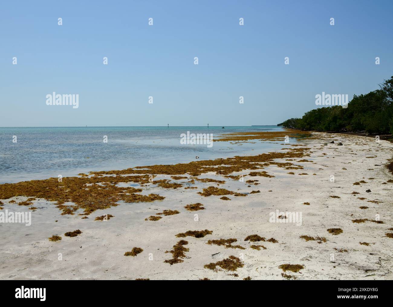 Islamorada florida keys hi-res stock photography and images - Alamy