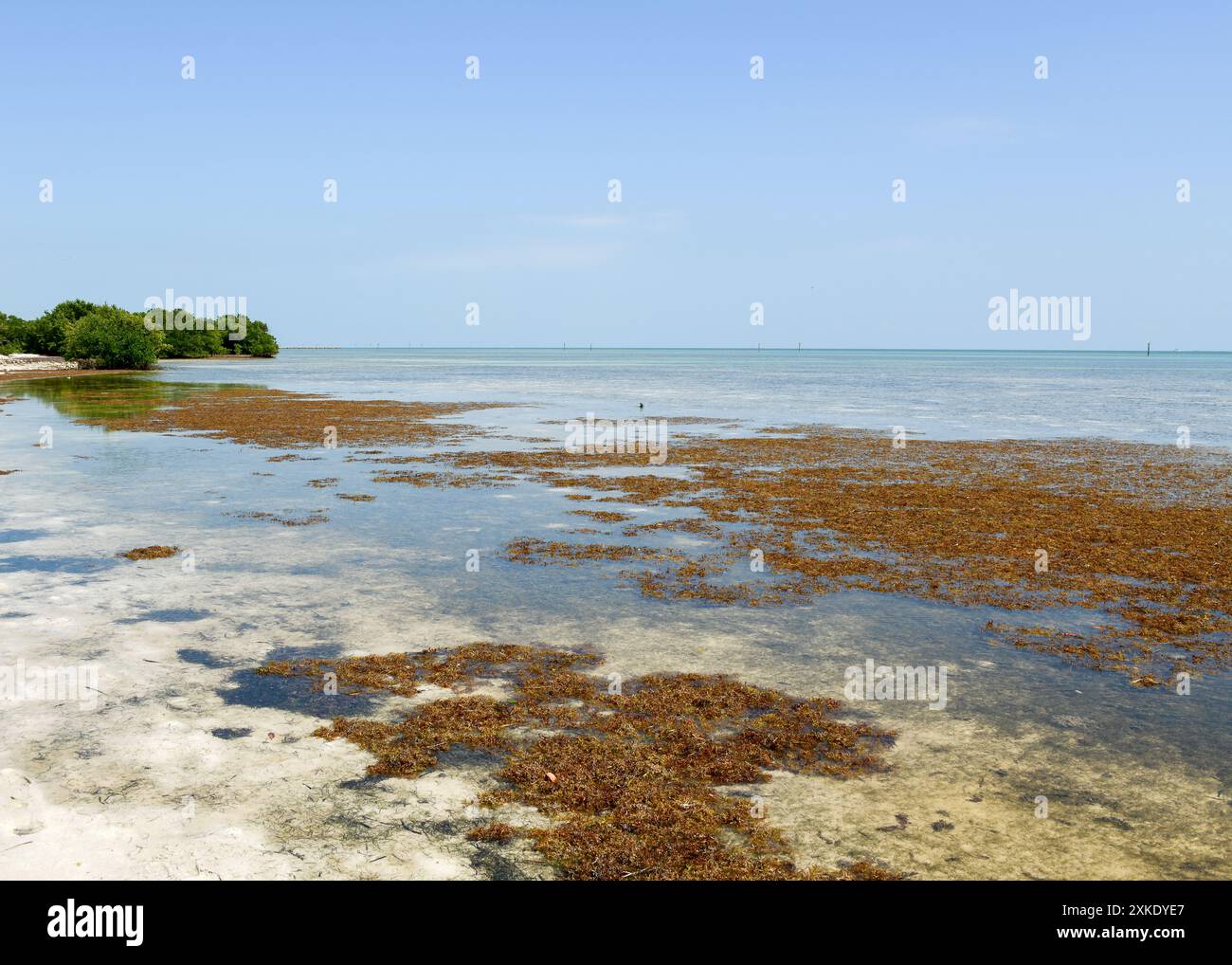 Anne's Beach Islamorada, Florida Keys Stock Photo - Alamy