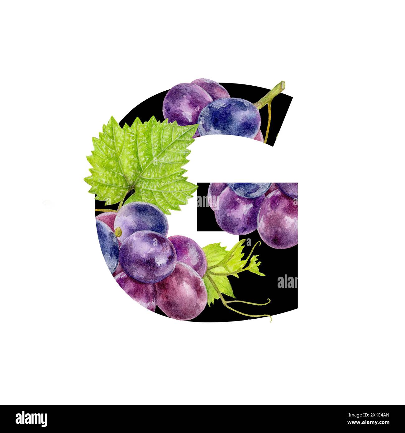 Illustration of the letter G with watercolor grapes and green leaves on ...