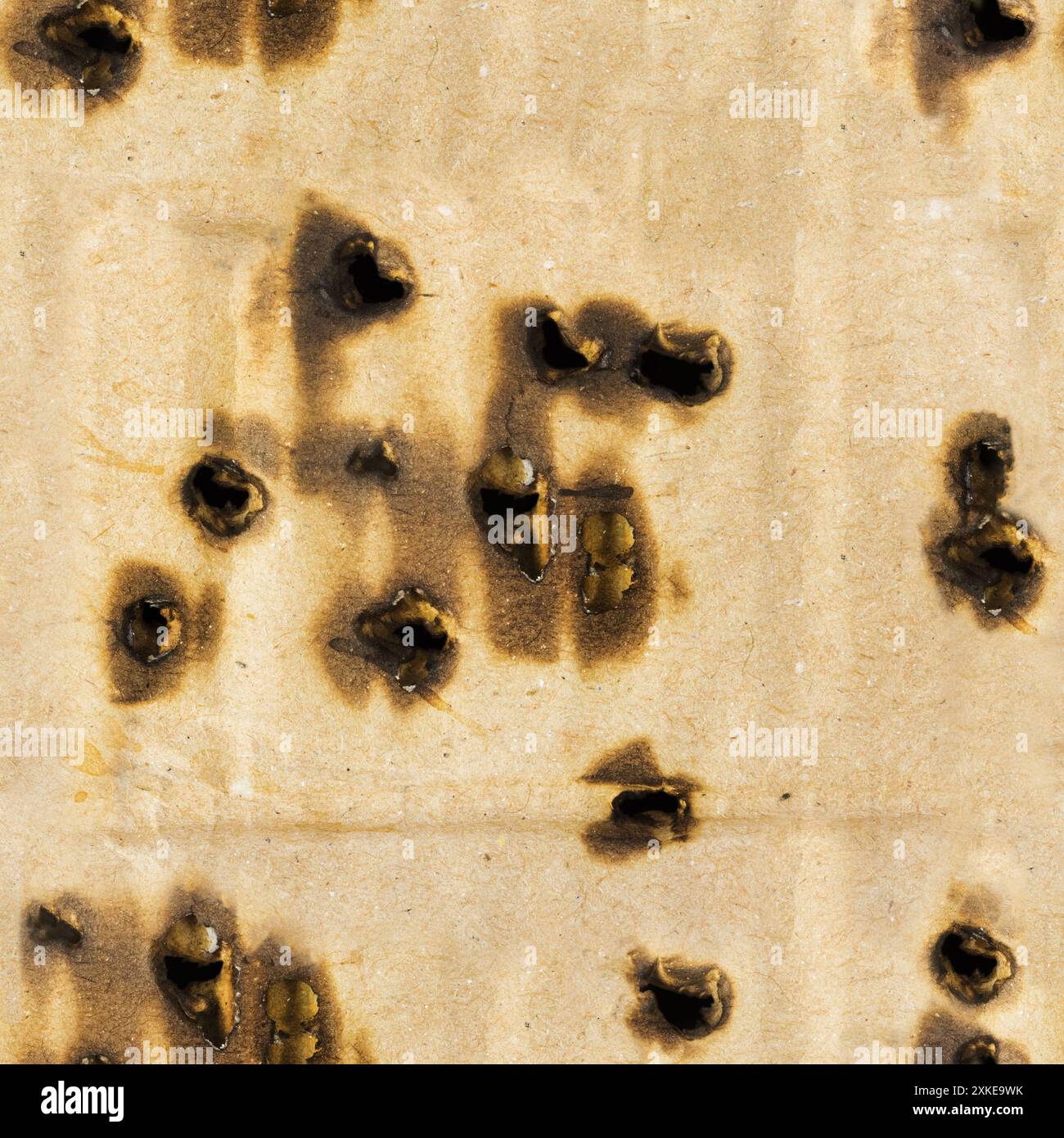 Seamless 4k photo texture of burned and perforated cardboard paper ...