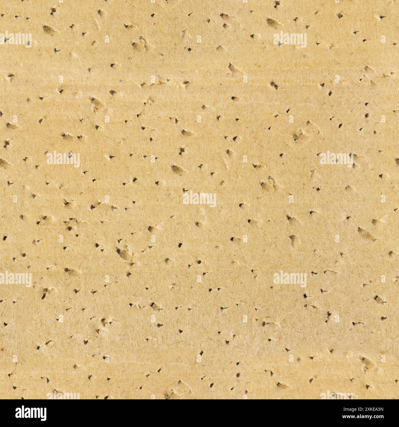 Seamless 4k photo texture of damaged and perforated cardboard paper ...