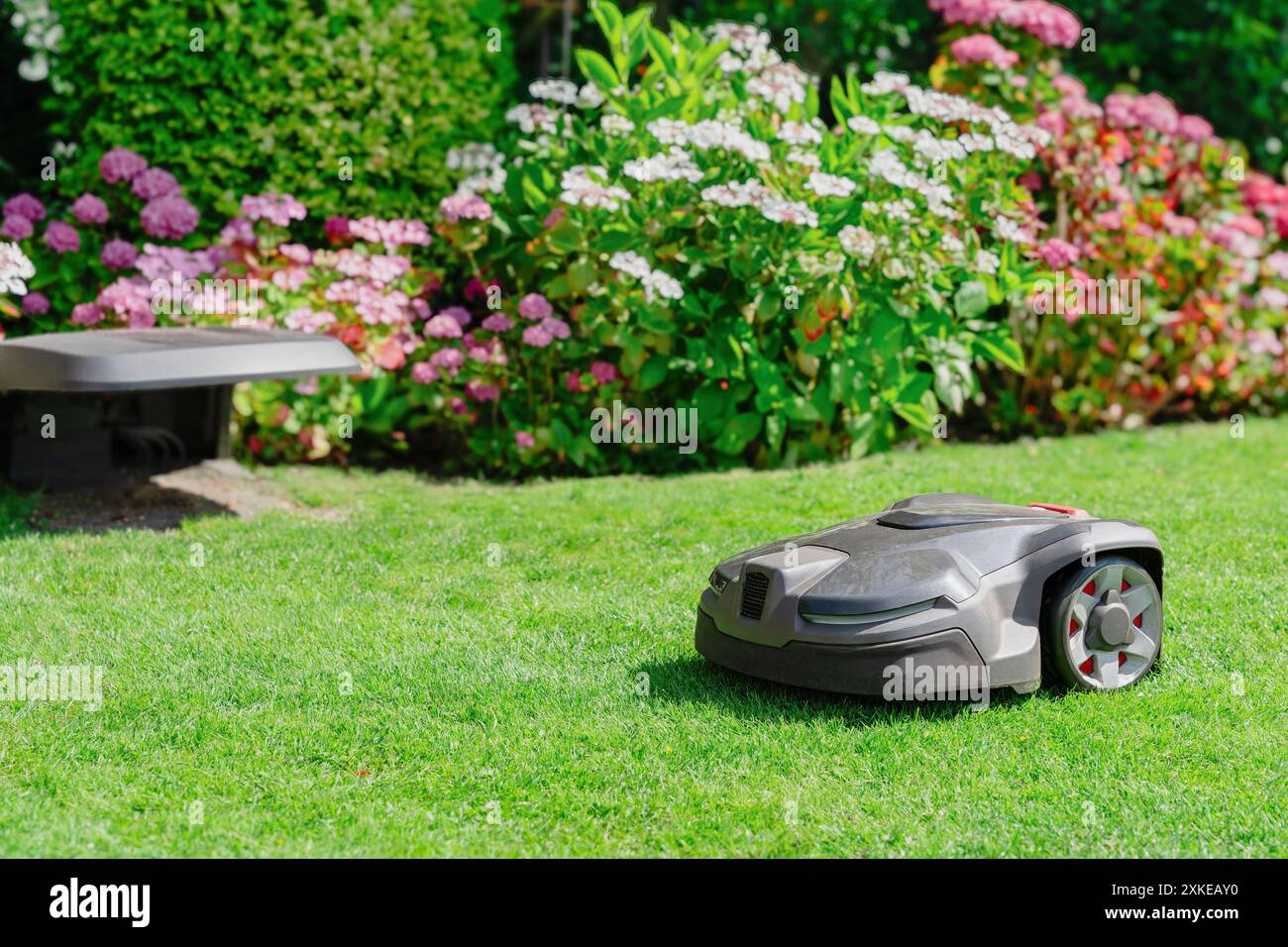 Robotic lawn mower trims grass in a garden with flowers and lush ...