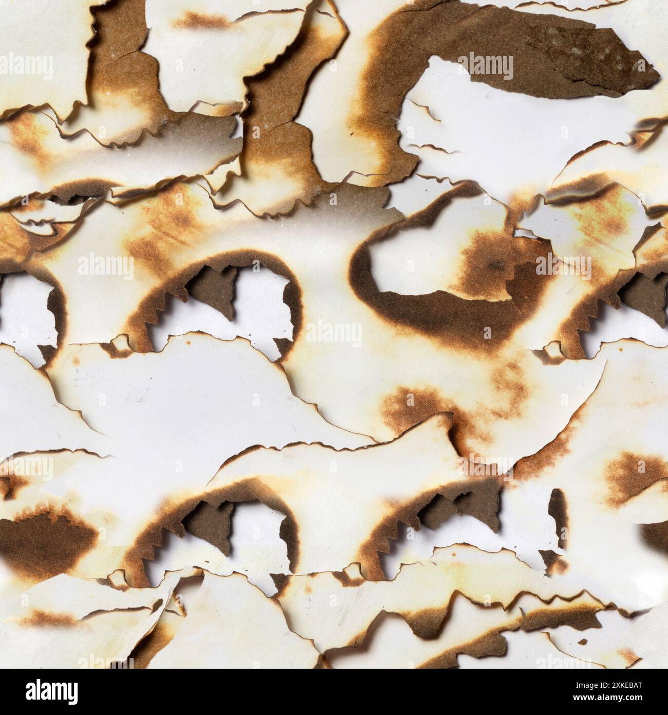 Seamless 4k photo texture of burned paper pattern surface Stock Photo ...