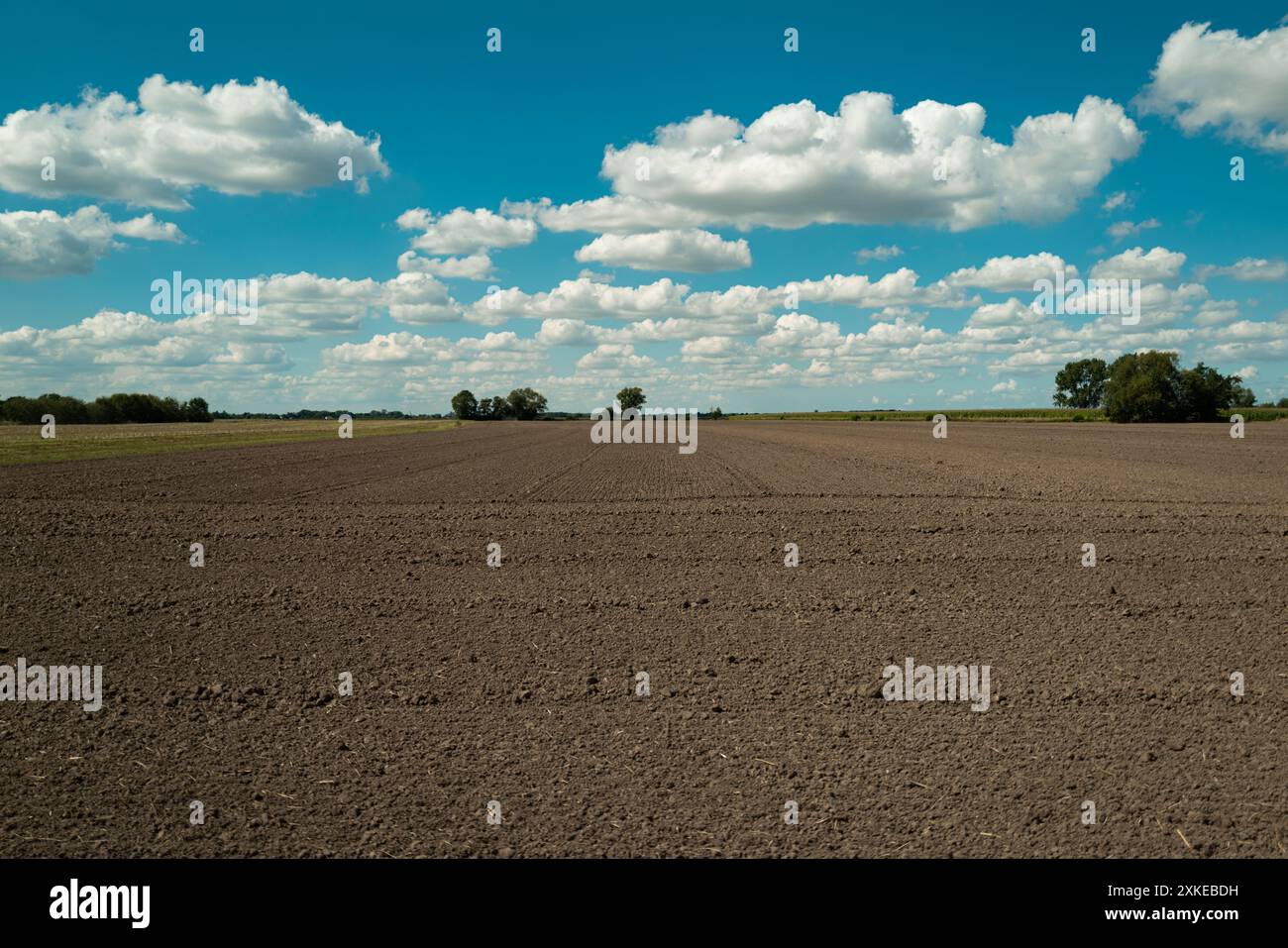 Agriculture concept. Gardening season concept. Texture of fertile soil ...