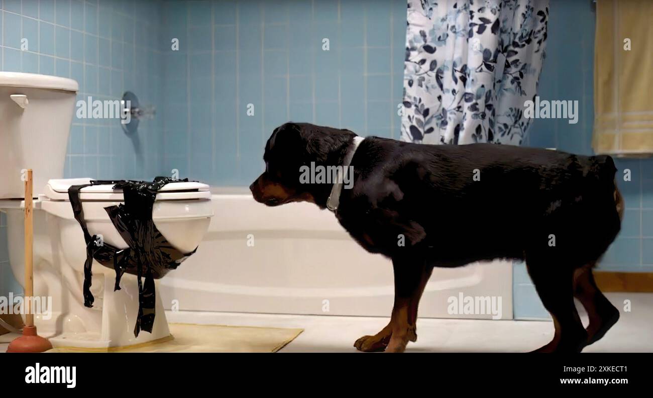 SCARED SHITLESS, 2024. © Happy Cat Productions /Courtesy Everett ...