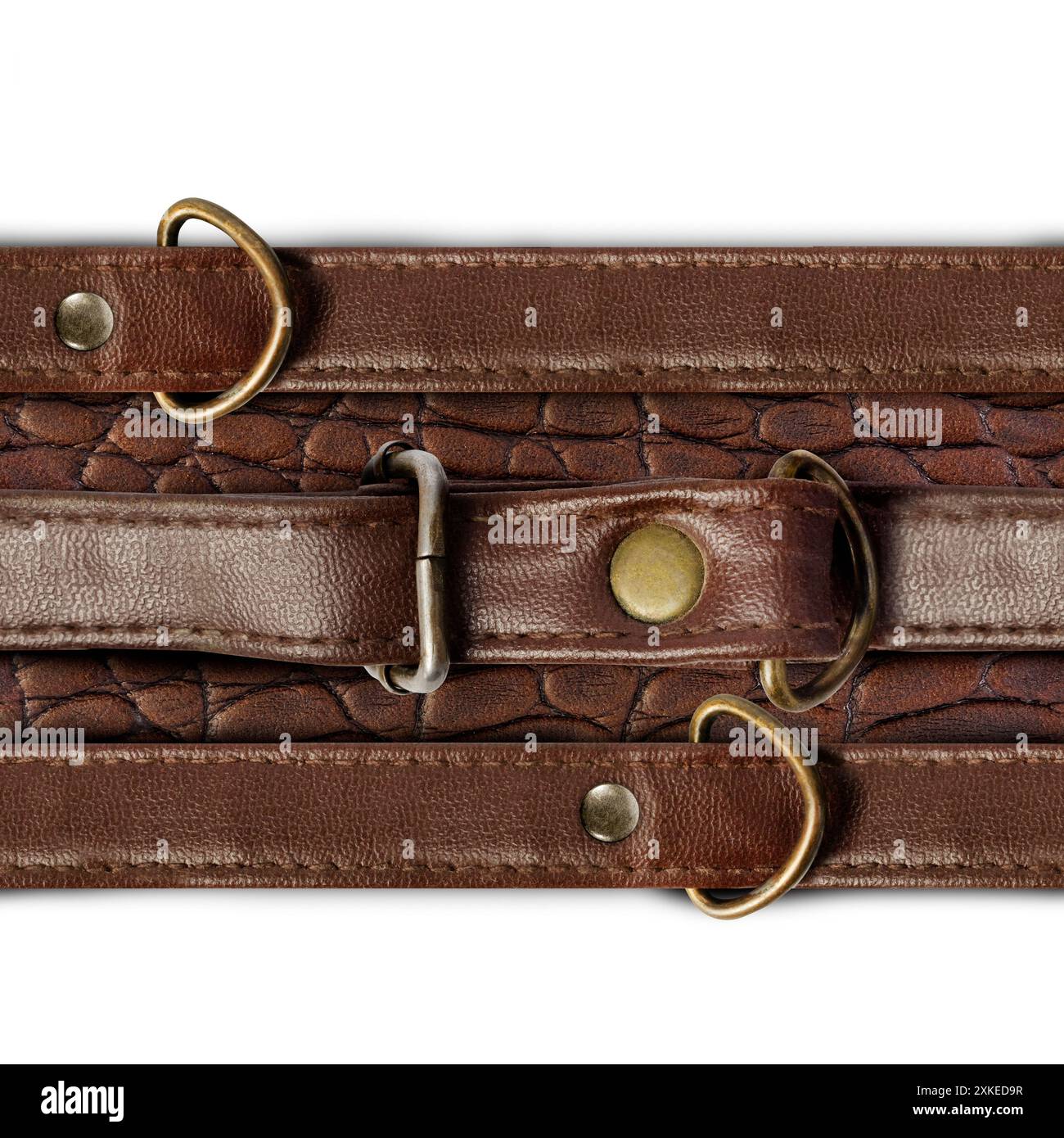 Seamless isolated photo of brown colored belt leather and alligator ...