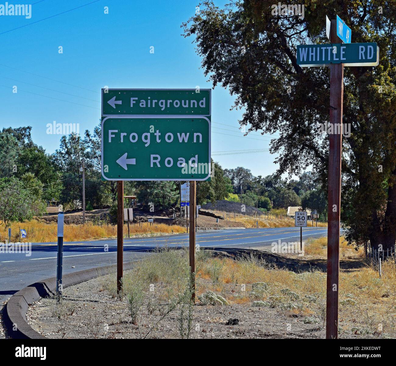 Frogtown hi-res stock photography and images - Alamy
