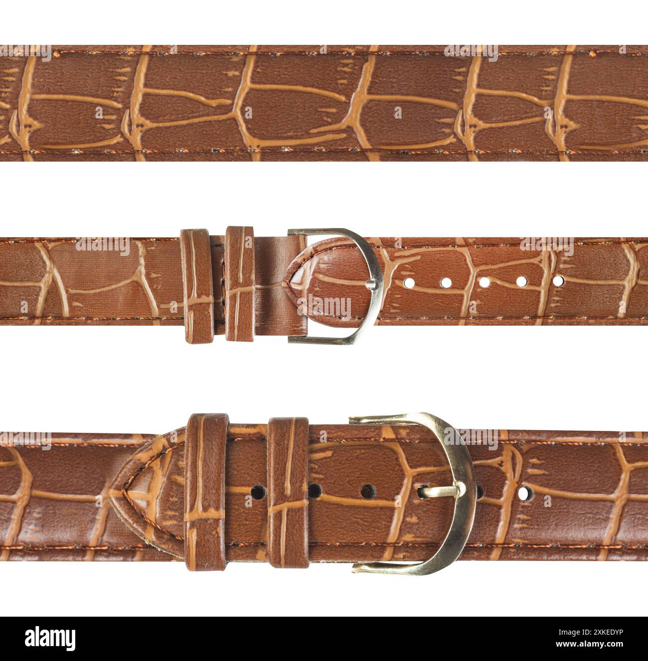 Alligator clipart hi-res stock photography and images - Alamy