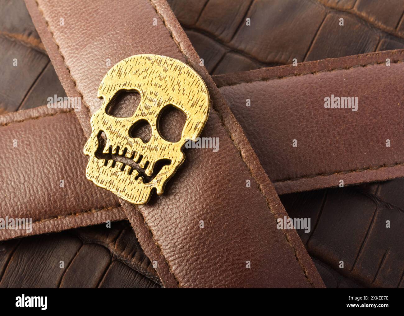 Close-up photo of brown colored alligator skin leather with cross straps and copper skull ...