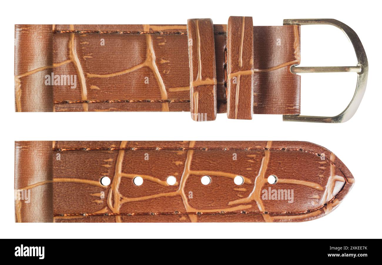 Isolated photo of alligator leather watch belts with buckles and ...