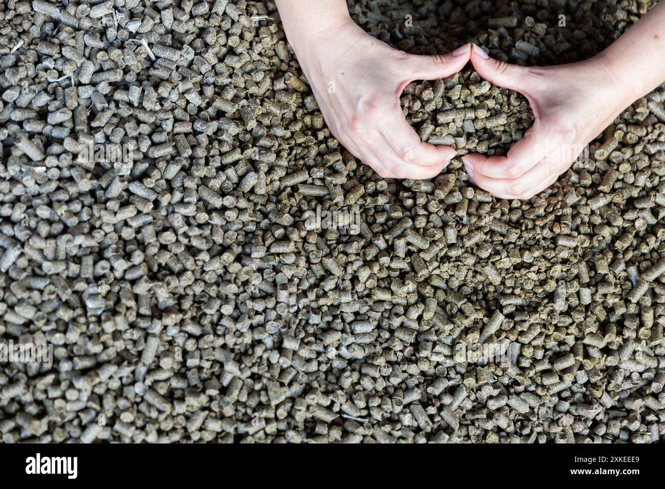 Rapeseed cake hi-res stock photography and images - Alamy