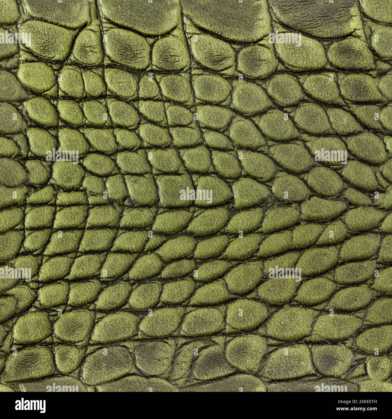 Seamless 4k photo texture photo of green colored alligator reptile skin ...