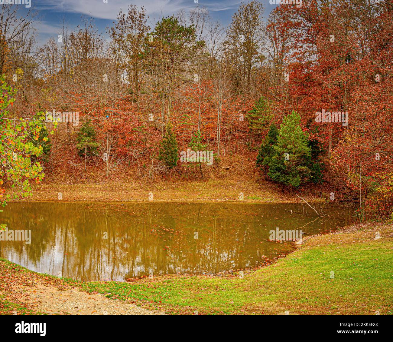 Fall foliage reflected in small pond Stock Photo - Alamy