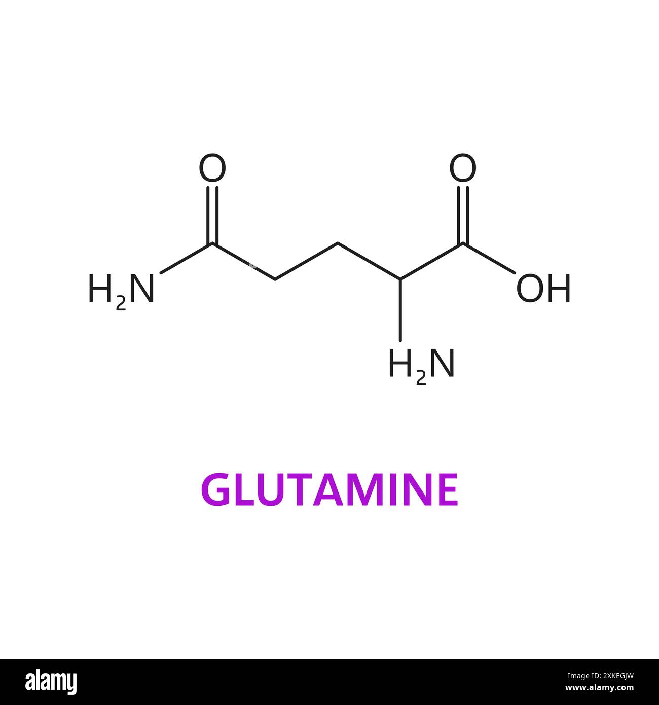 Glutamine amino acid chemical molecule, essential chain structure ...