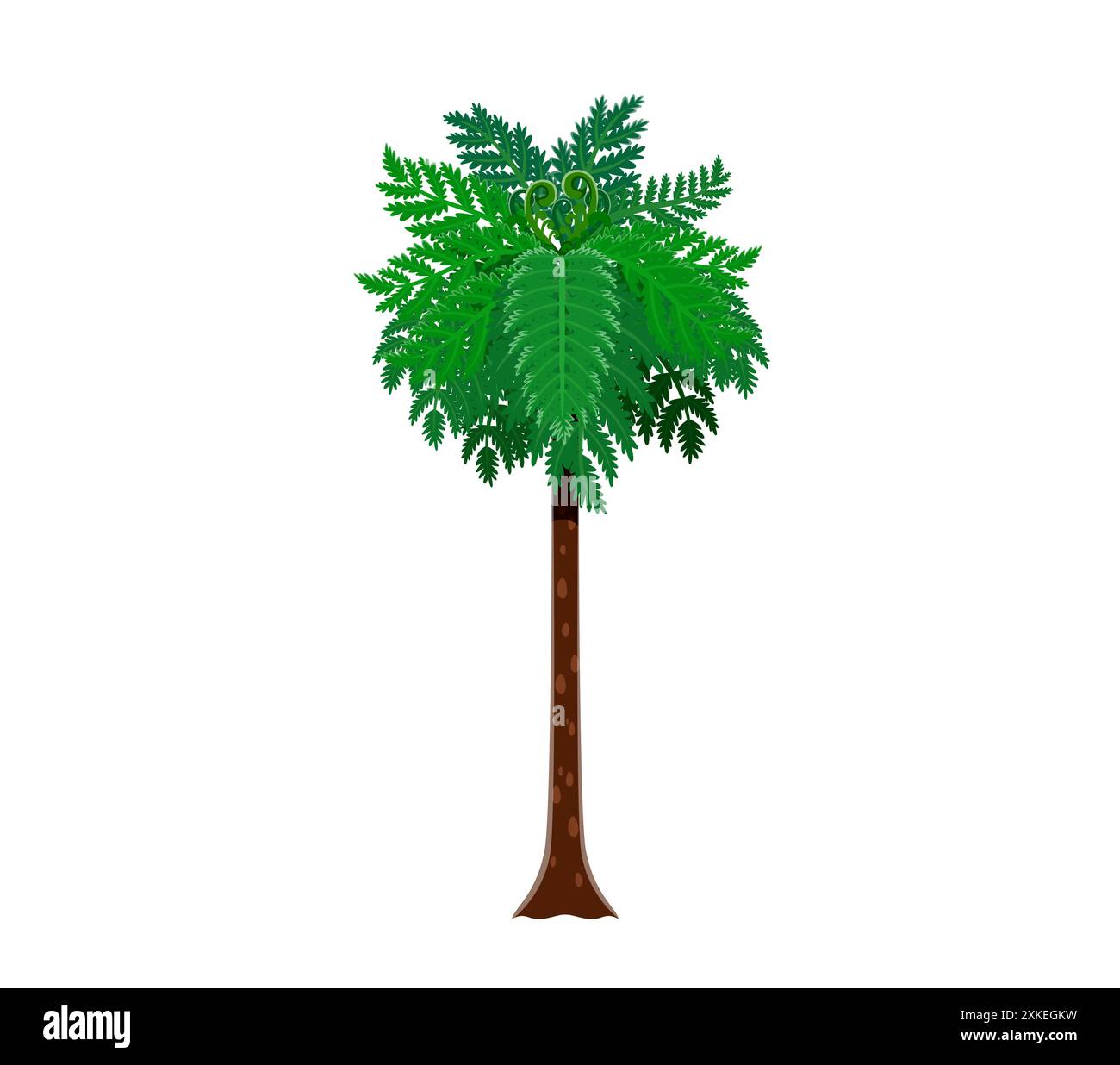 Cartoon jungle rainforest palm tree, towering, lush prehistoric ...