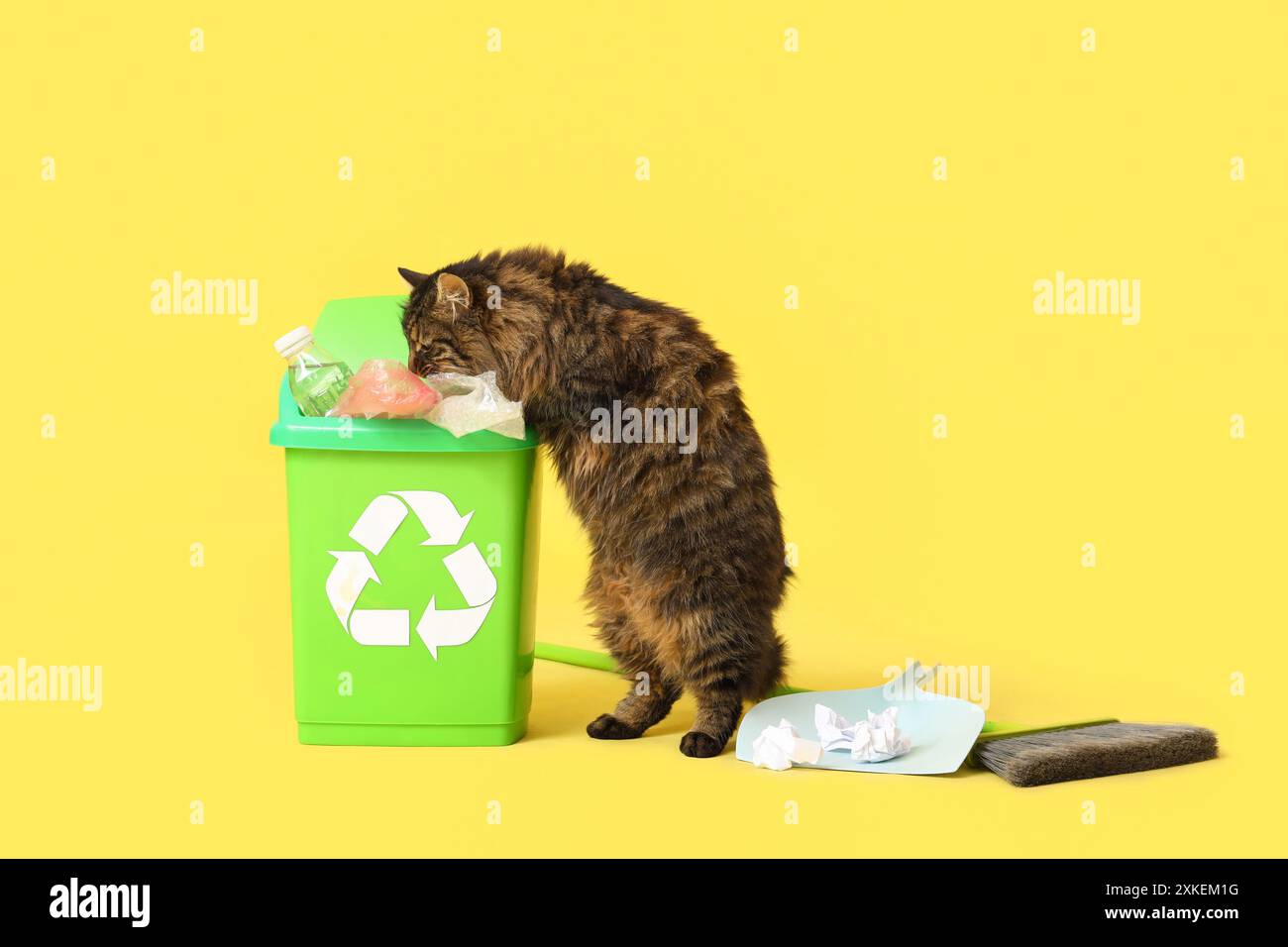 Cute cat with trash bin, dustpan and broom on yellow background Stock ...