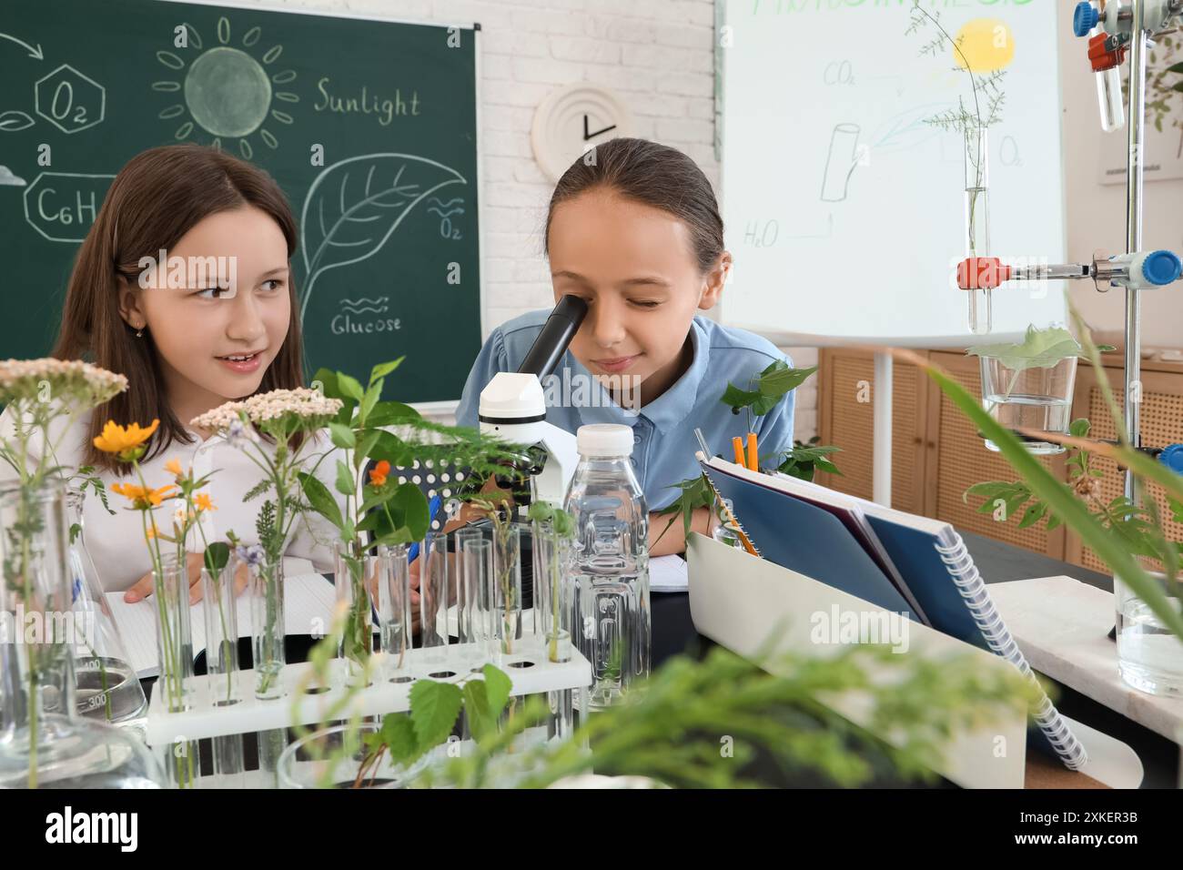 Teenage girl looking through microscope in Biology class at school ...
