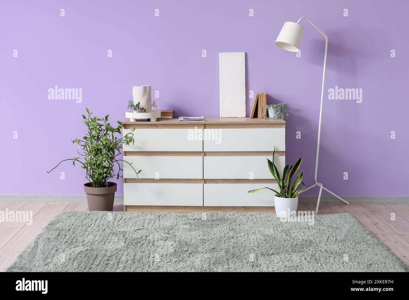 Interior of living room with grey carpet, drawers and plants Stock ...