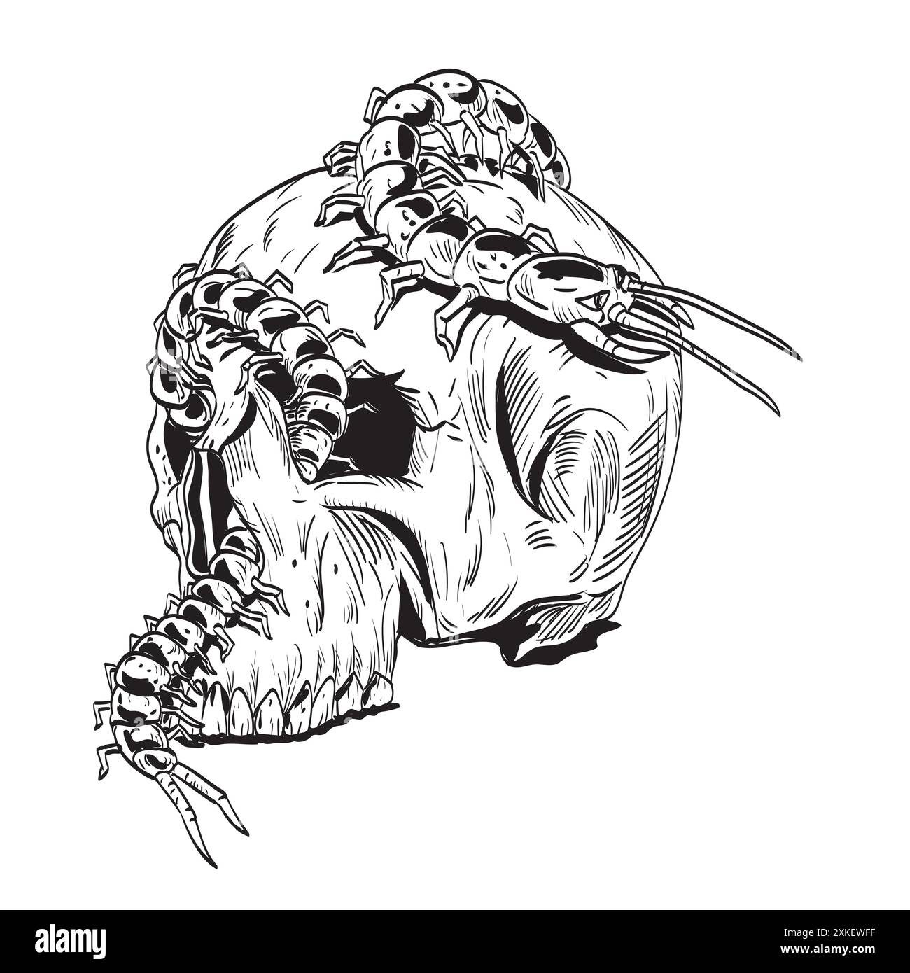 Comics style drawing or illustration of a human skull with a centipede ...