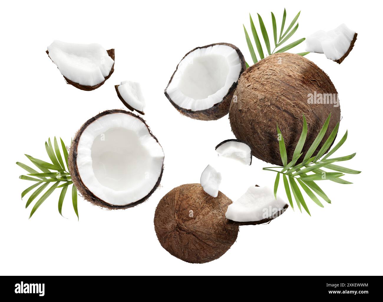 Coconuts and green leaves falling on white background Stock Photo - Alamy