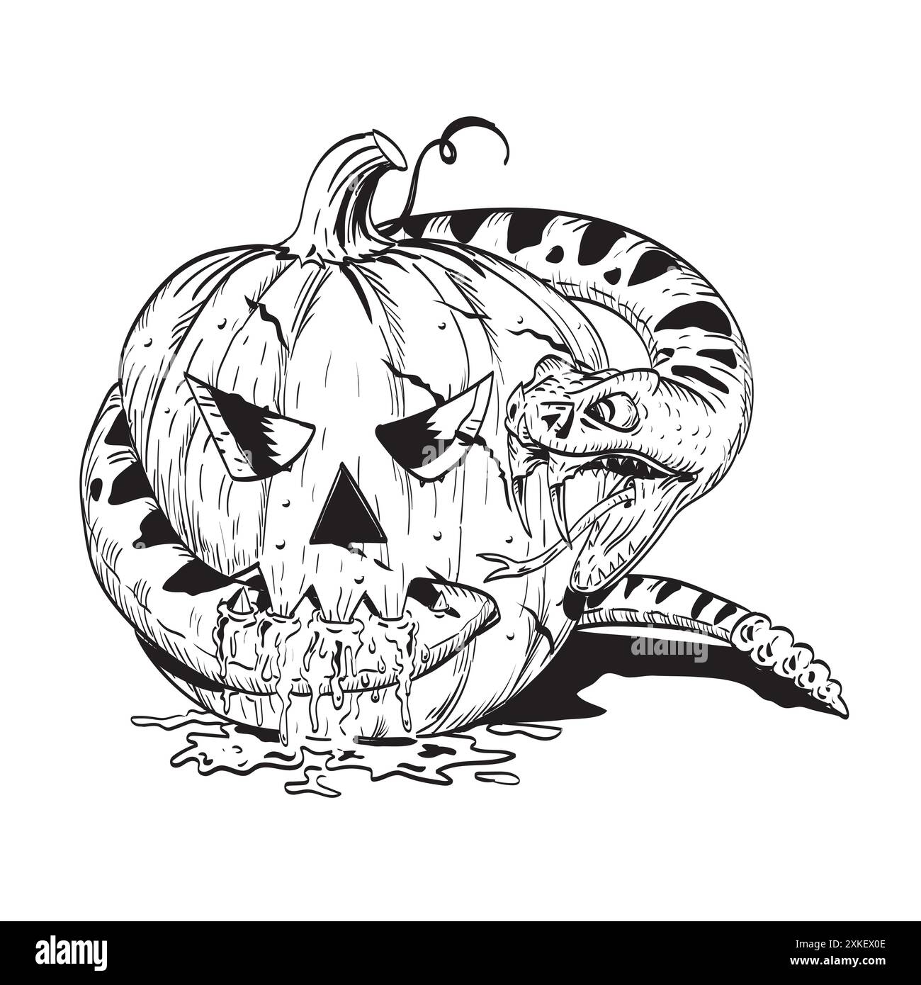 Black rattlesnake front Stock Vector Images - Alamy