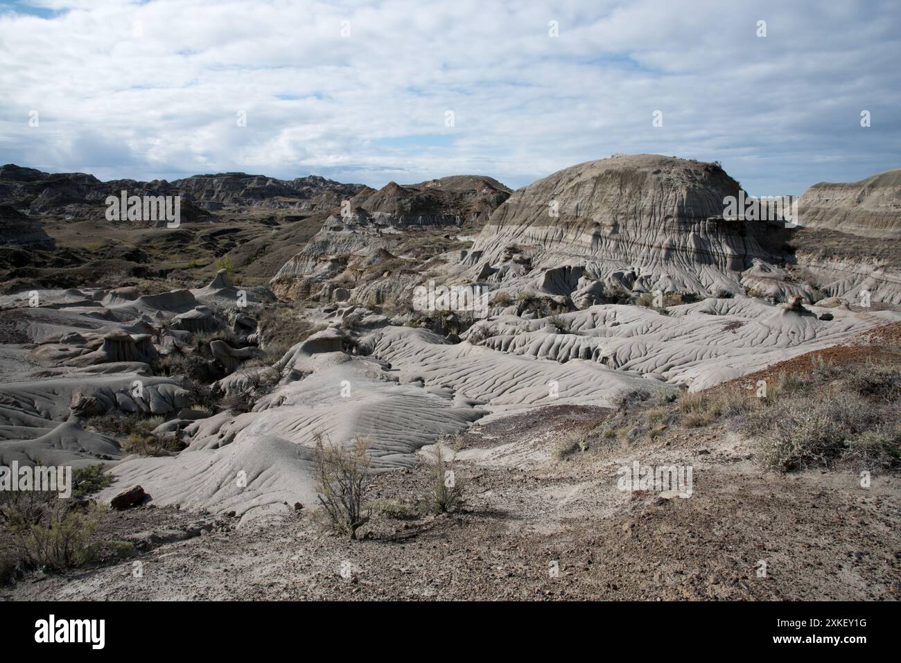 Dinosaur Provincial Park in Alberta in Canada protects lots of Dinosaur ...