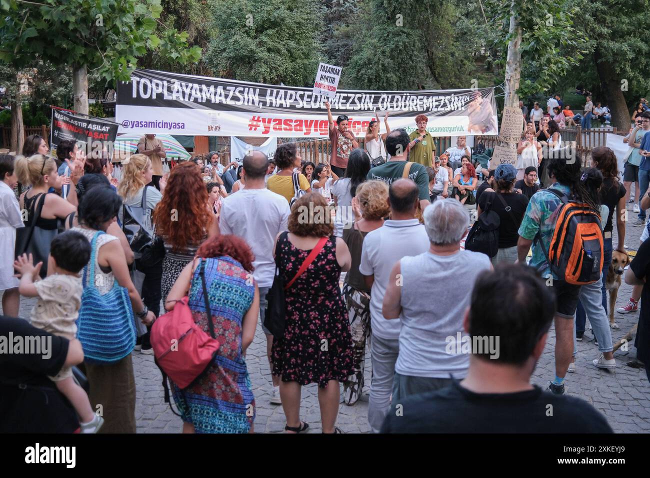 Euthanasia protest hi-res stock photography and images - Alamy