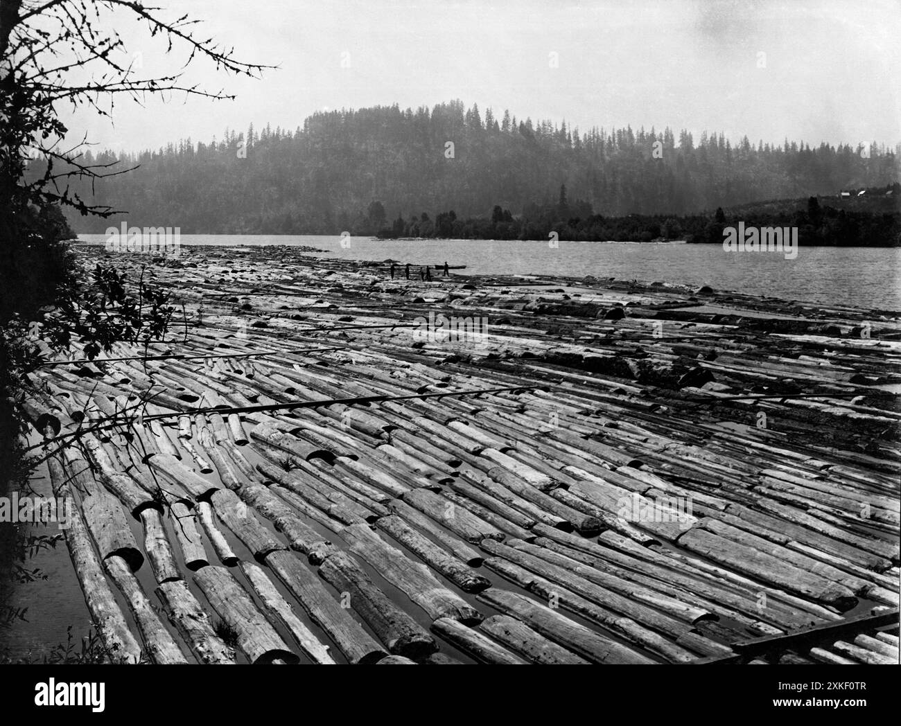 Portland, Oregon c. 1910 Logging rafts being transported on the ...