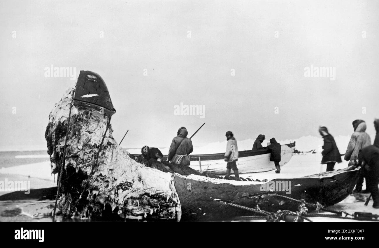 Point Barrow, Alaska c 1927 Eskimos who have brought in a whale, and in ...