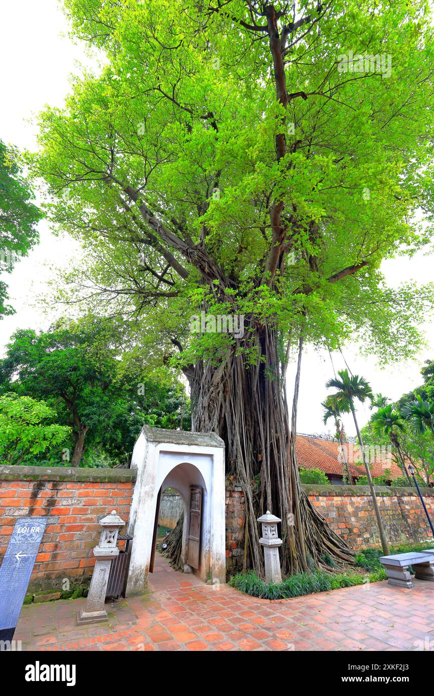 Temple Of Literature (Van Mieu Quoc Tu Giam), a Confucian temple with ...